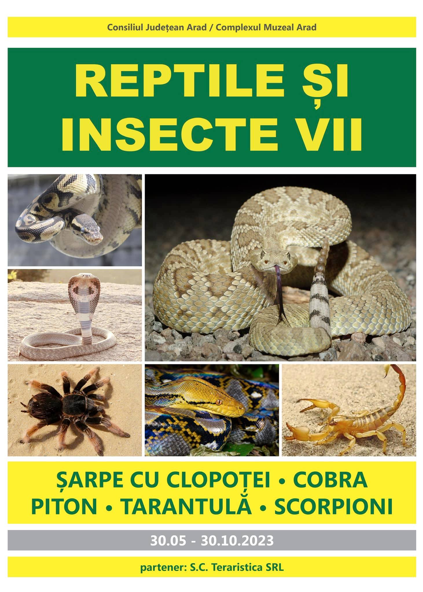 Expoziție spectaculoasă de reptile și insecte vii la Complexul Muzeal ...
