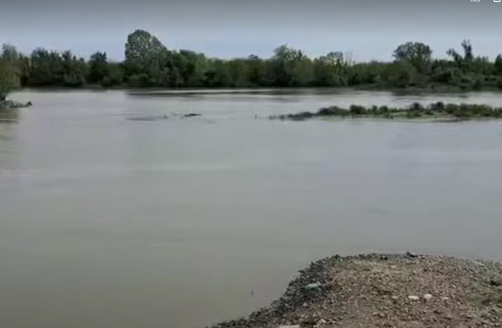 Primele imagini de la găsirea cadavrului pe Mureș VIDEO - Glasul Aradului