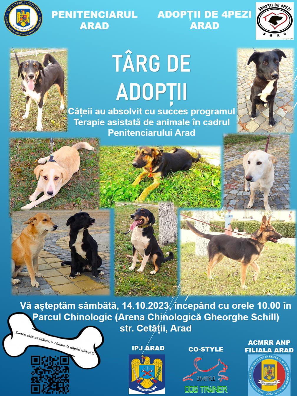 Târg de adopții, în Parcul Chinologic Arad - Glasul Aradului