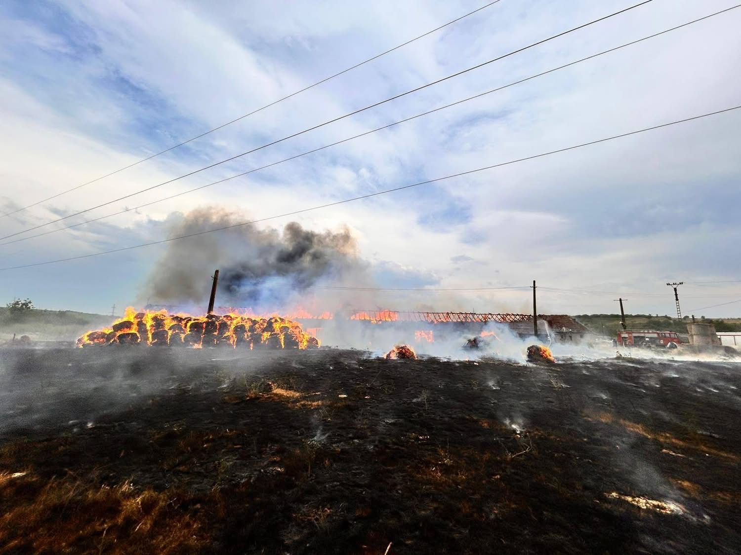 Zi roșie pentru pompieri: adăpost de animale din Lipova în flăcări ...